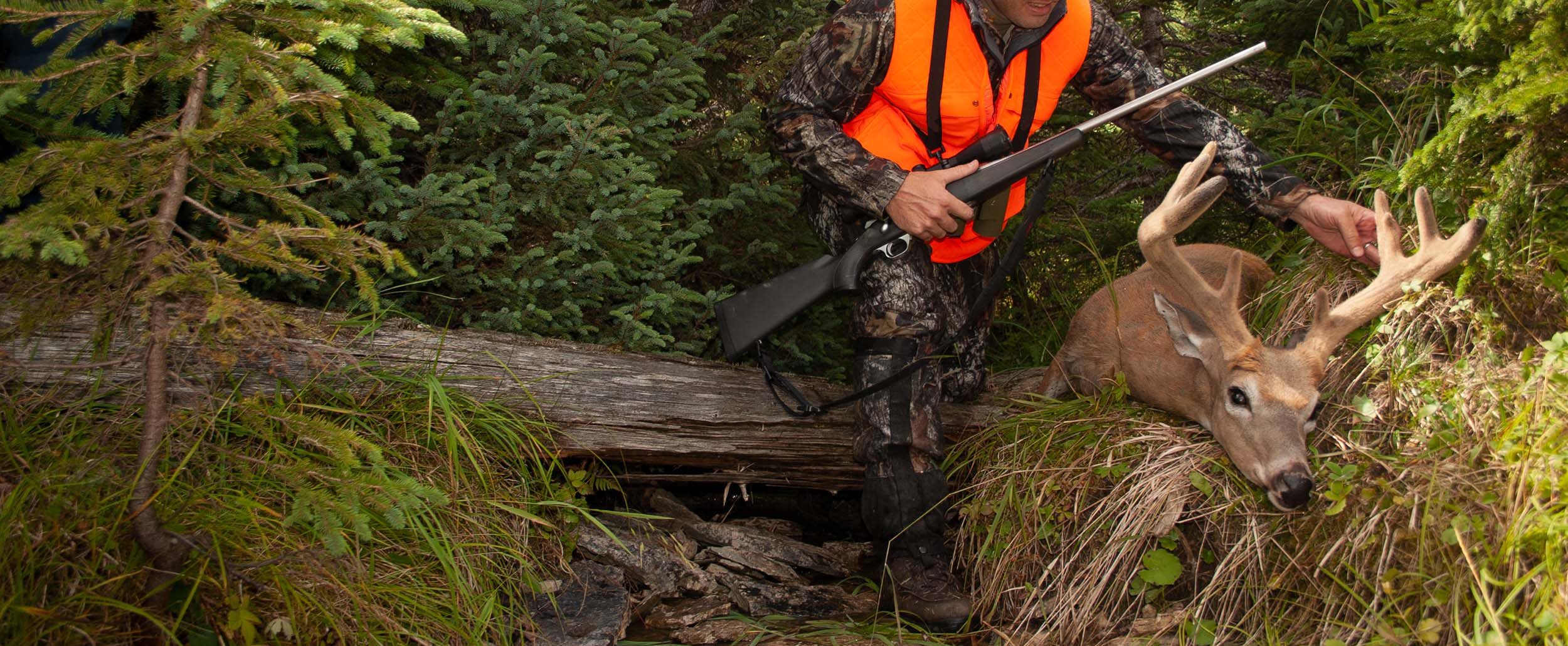 All Hunting - Sport Hawk